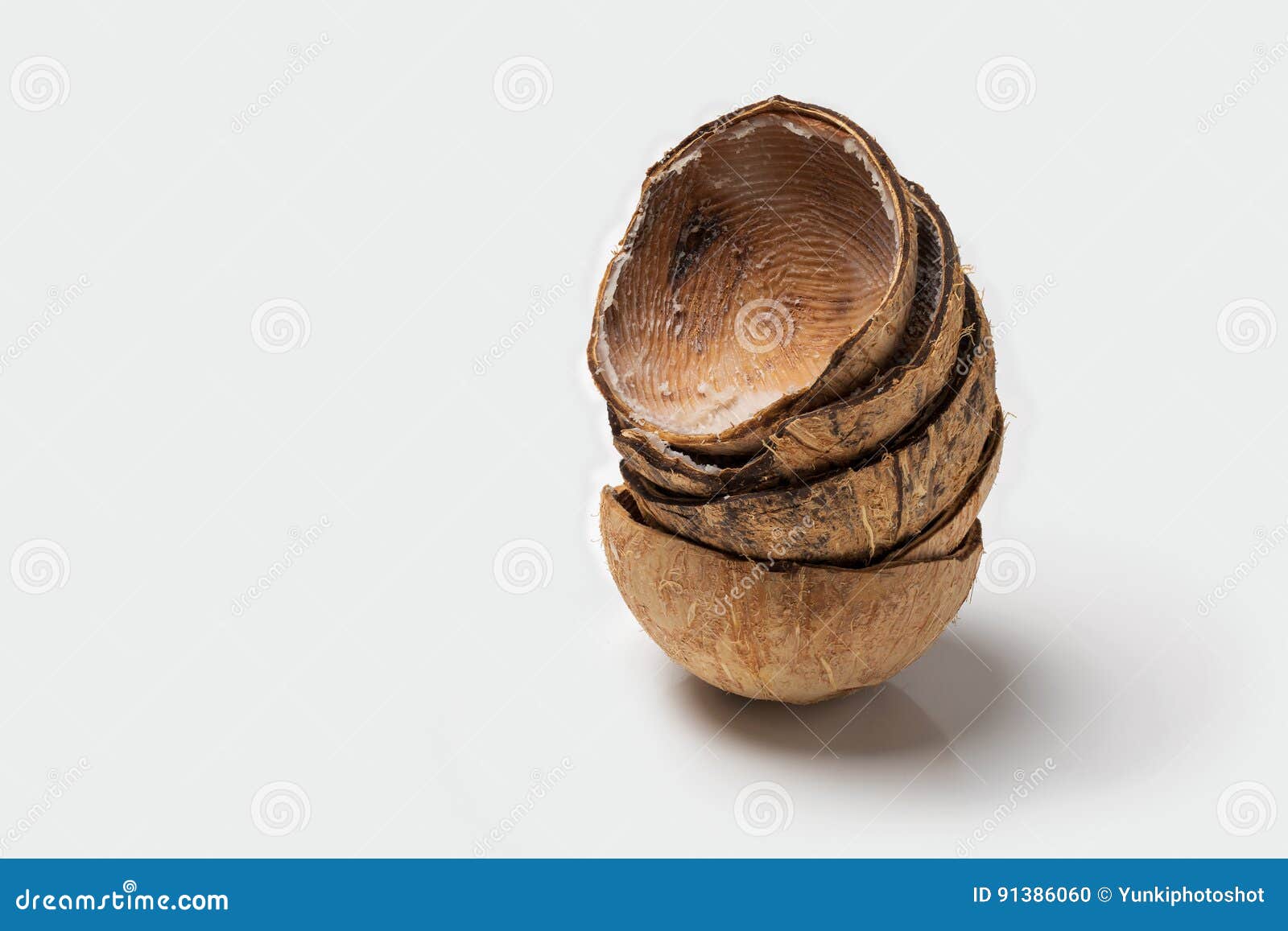 Asian Coconut Empty Shell Close Up, Studio Photography Isolated. Stock ...