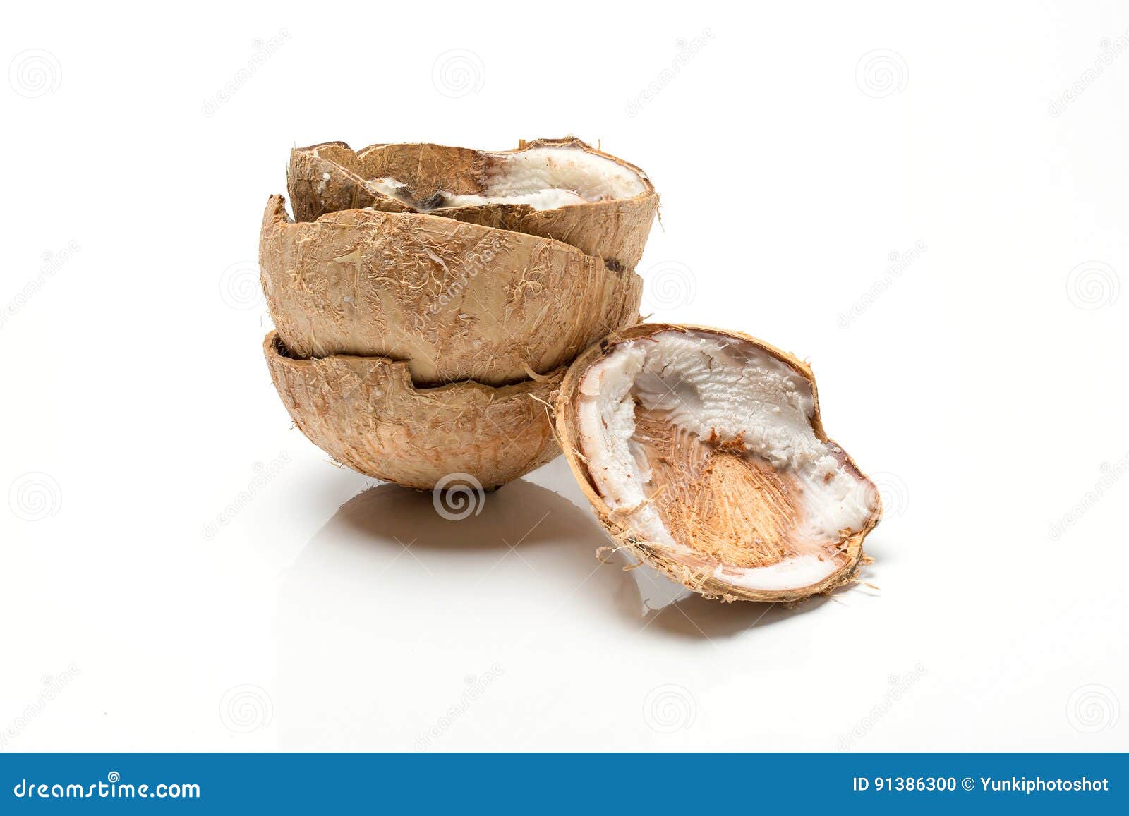 Asian Coconut Empty Shell Close Up, Studio Photography Isolated. Stock ...