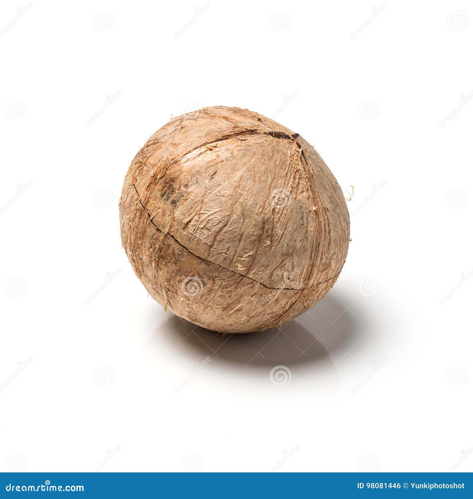 Asian Coconut Empty Shell Close Up, Studio Photography Isolated. Stock ...