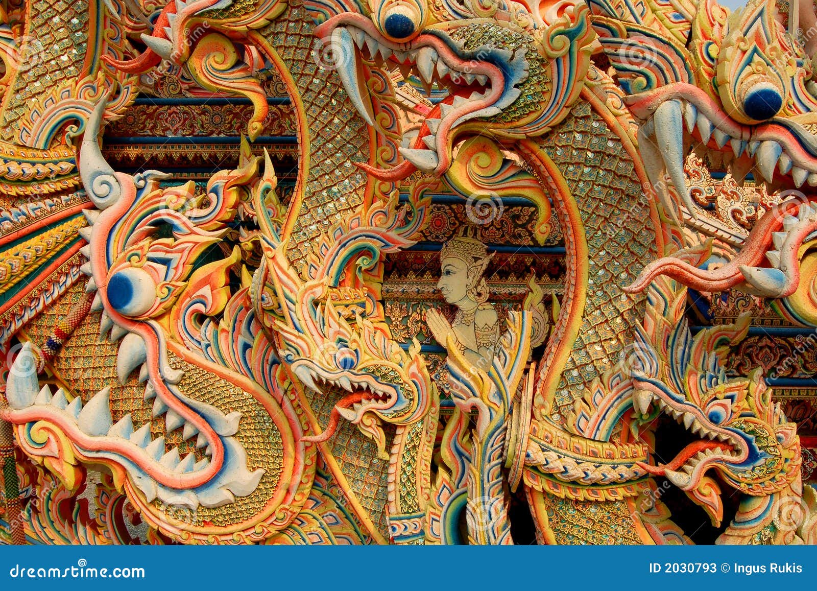 Asian Dragon Fruit Pitaya On A Monstera Liana, Vine Royalty-Free Stock ...