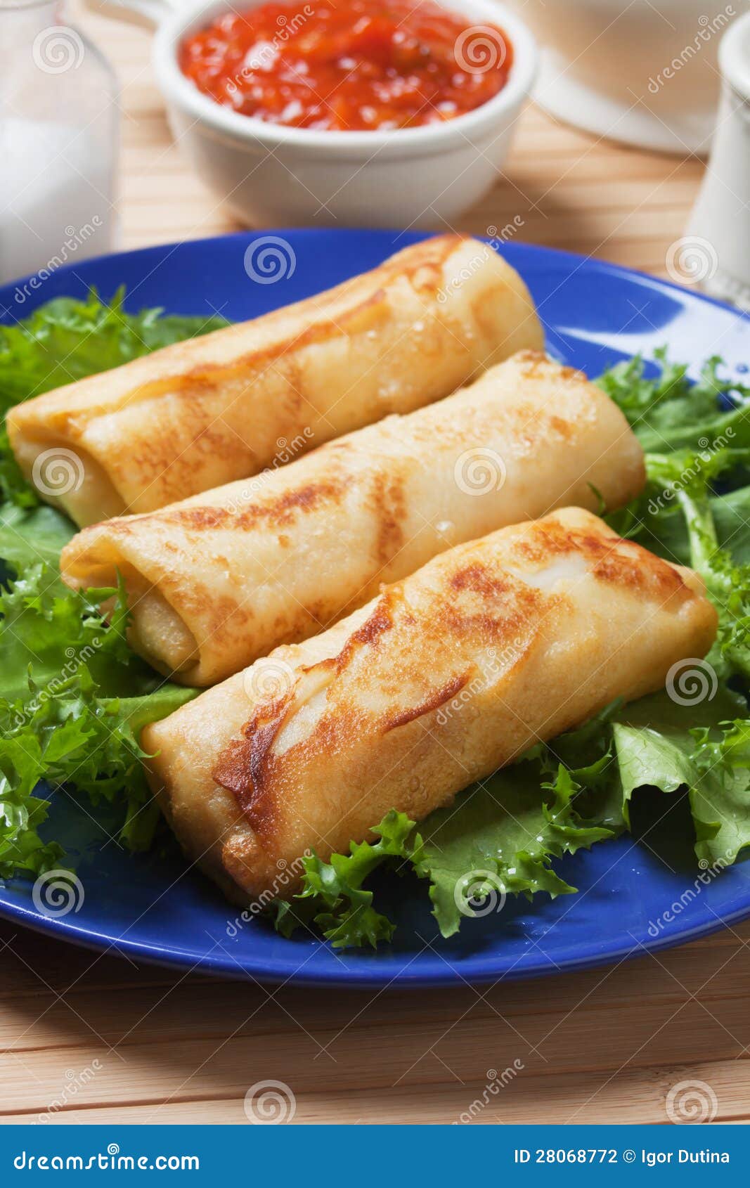 Asian egg rolls stock photo. Image of fried, photograph - 28068772