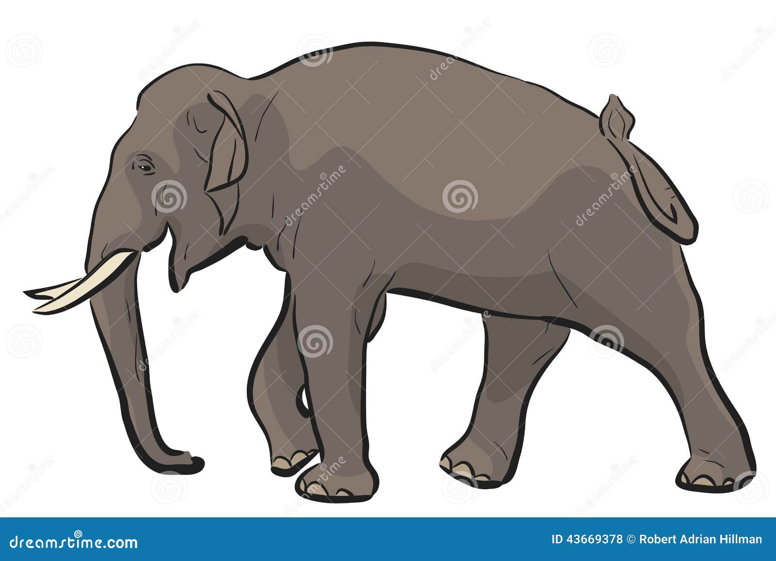 Asian Elephant Illustration, Drawing, Engraving, Ink, Line Art, Vector ...