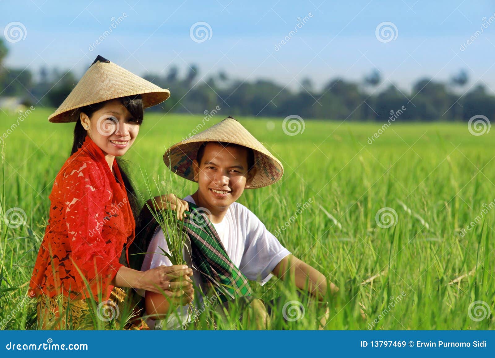 Asian farmer stock image. Image of prosper, aboriginal - 13797469