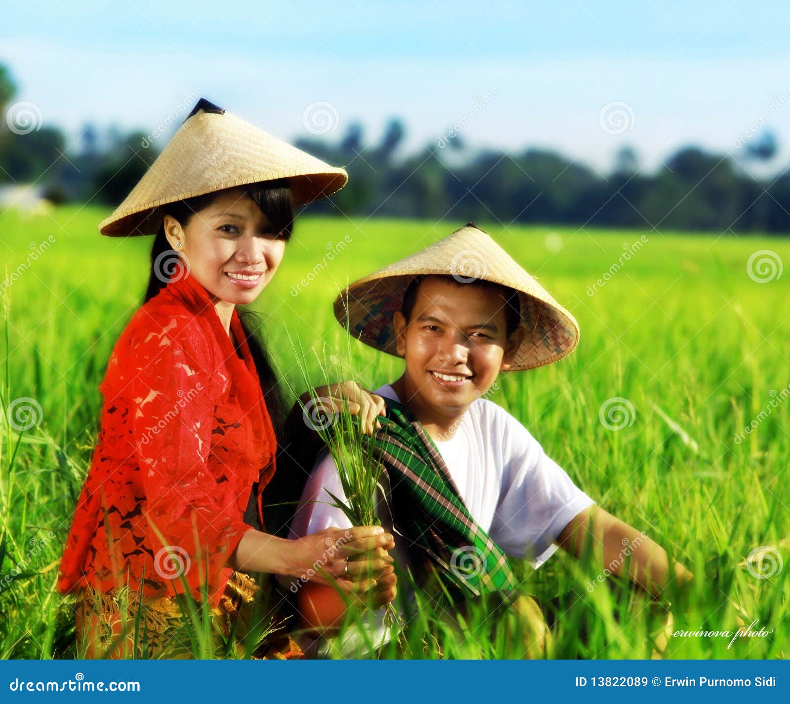 Asian Farmer Throwing Rice Seed By Hand On Wet Mud In Rice Field ...