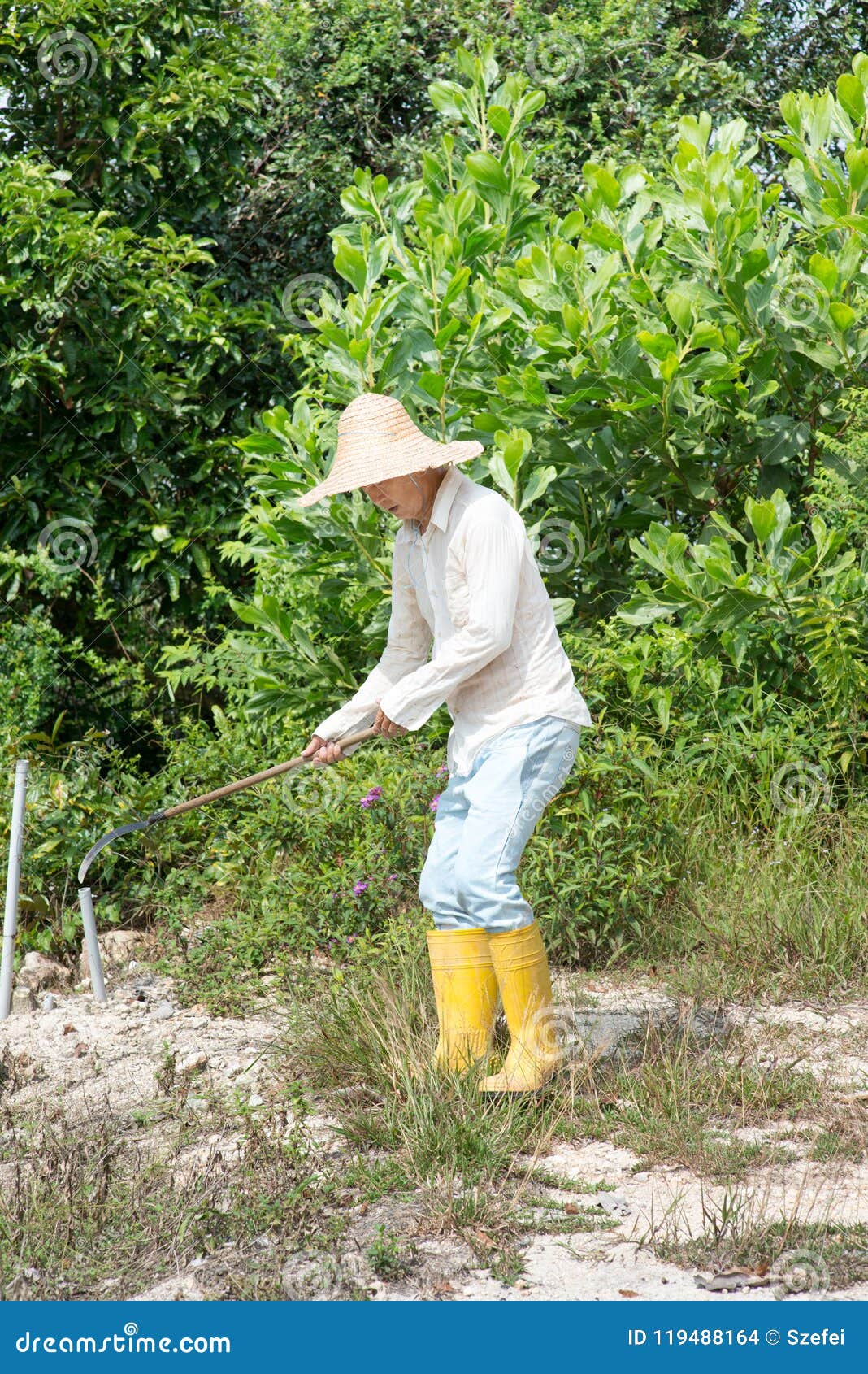 Worker clearing land stock photo. Image of landscape - 119488164