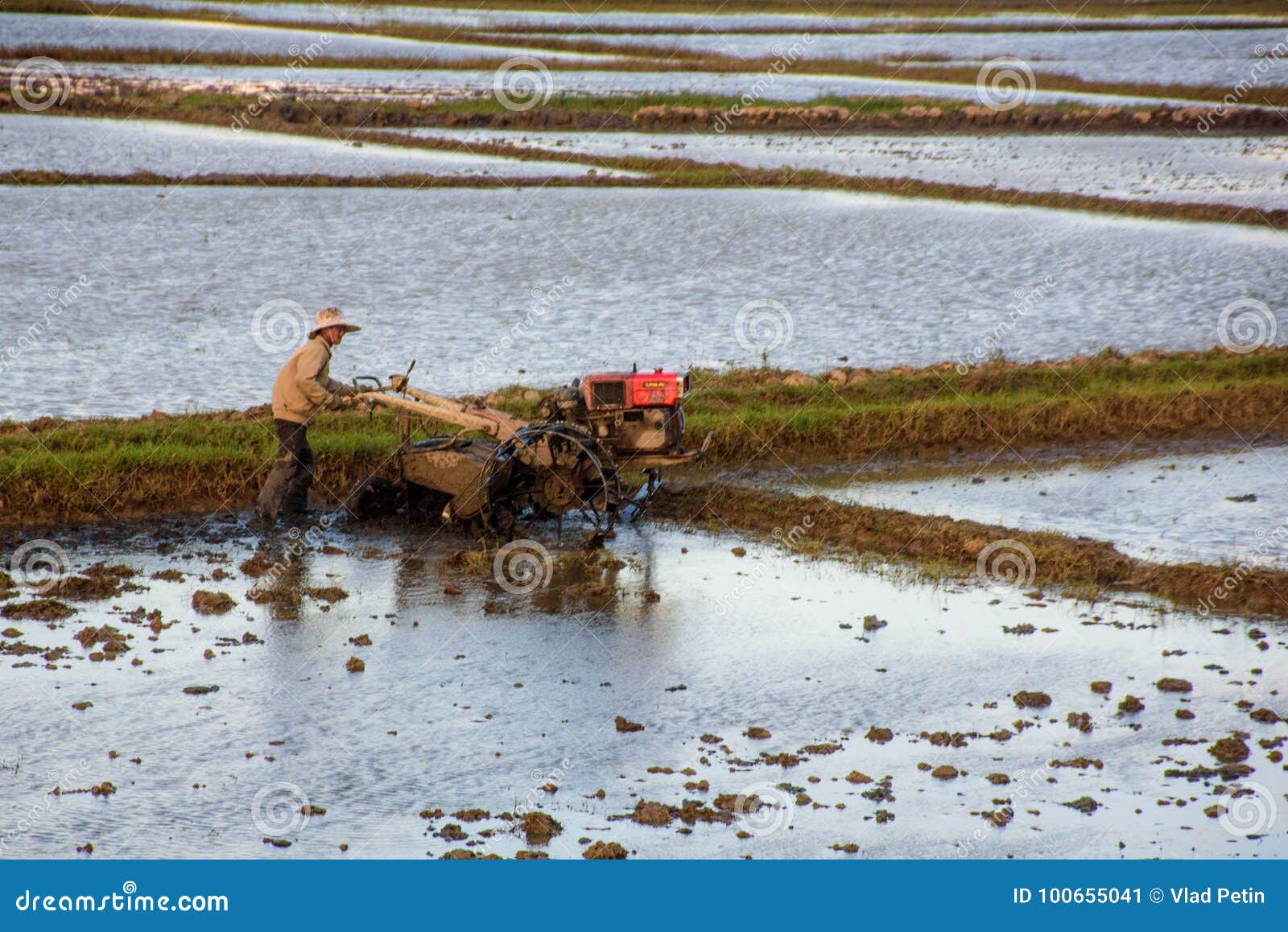 Asian Farmer Ploughing Rice Field with Tractor Machine Editorial Photo ...