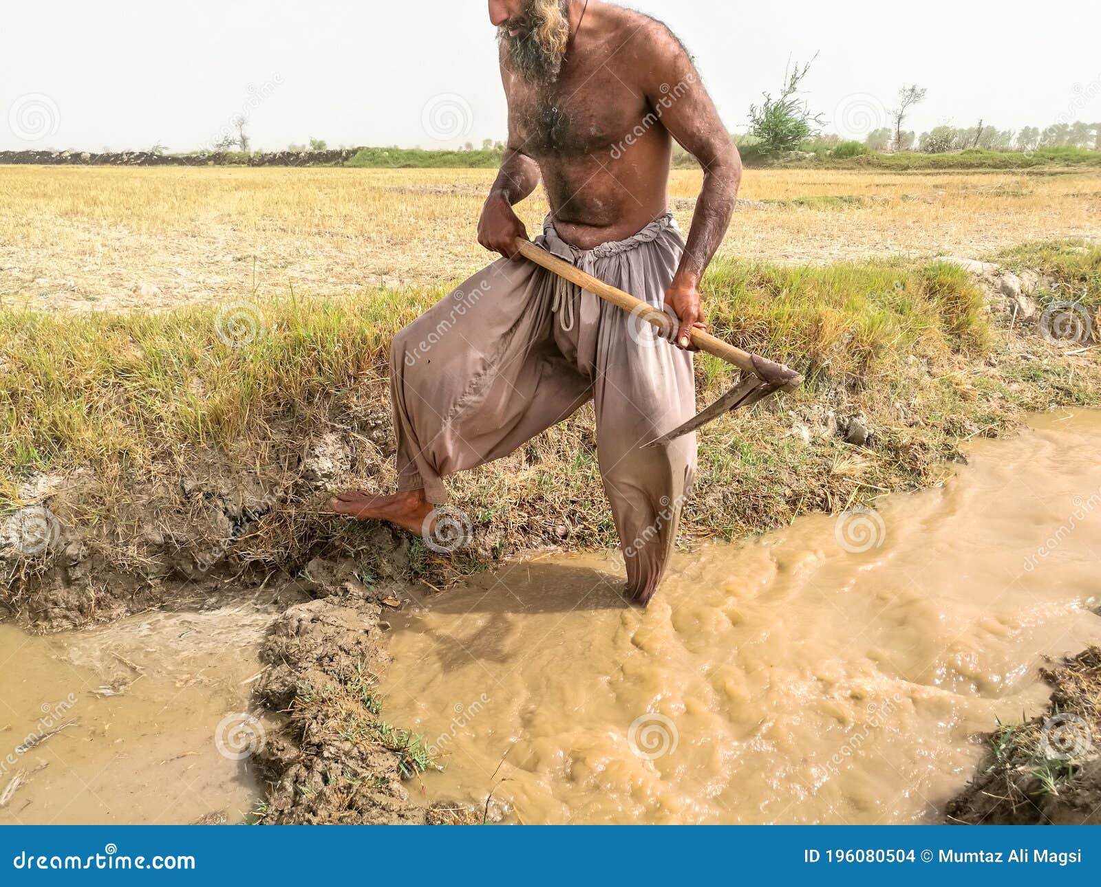 An Asian Farmer is Working in the Fields with His Tools and Wearing ...