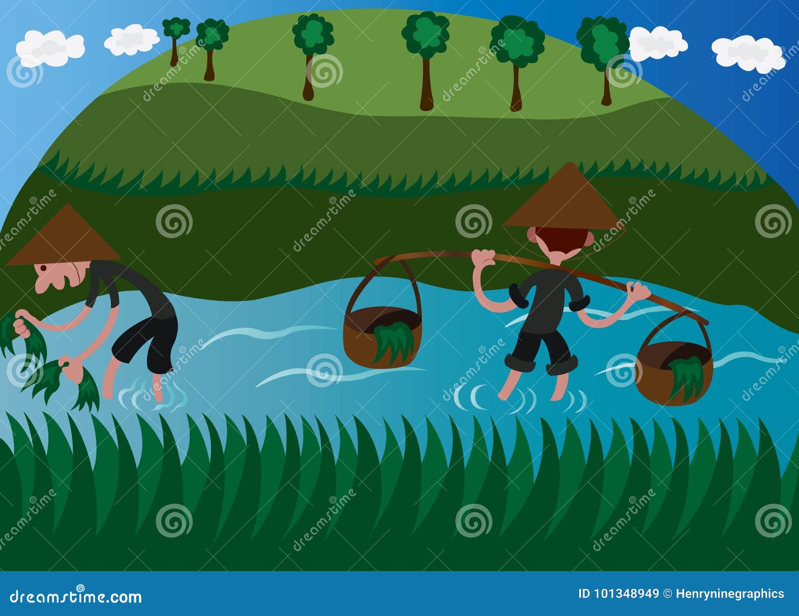 Two Asian Farmers In Ethnical Hats Harvesting Rice In Paddy Field ...