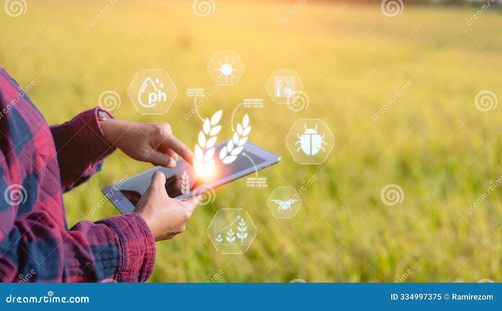 Asian Farmers are Using Digital Tablets in Cultivated Fields with Smart ...