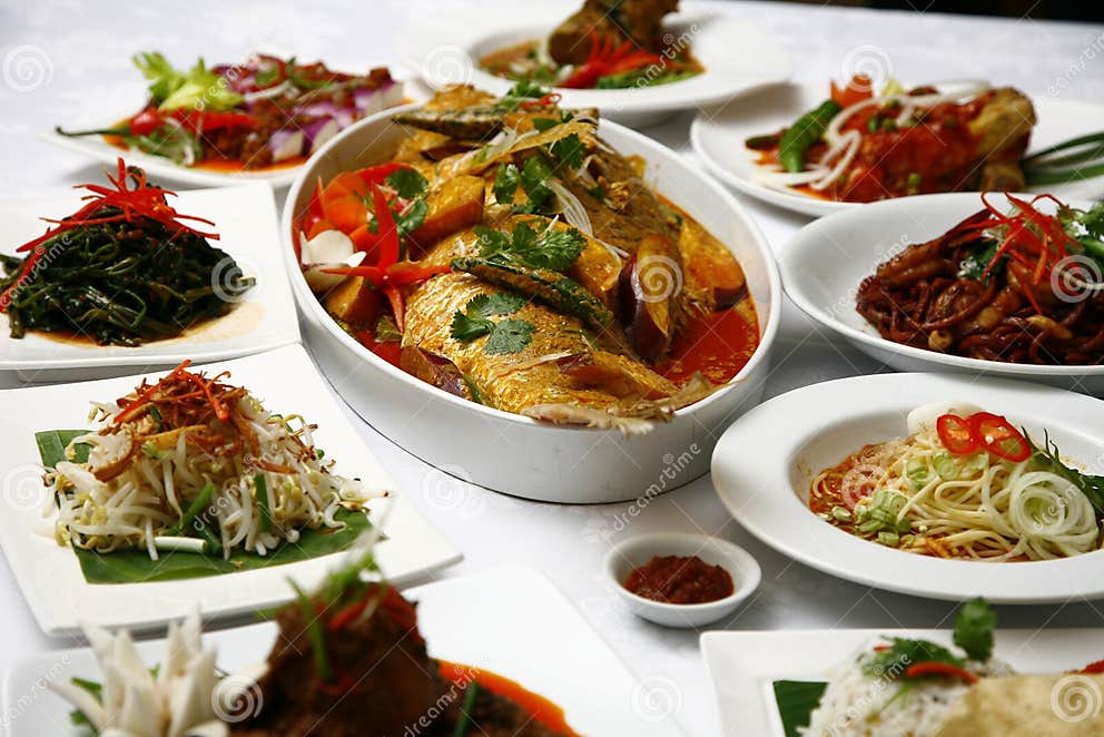 Asian food stock photo. Image of malaysian, plate, spicy - 9094172