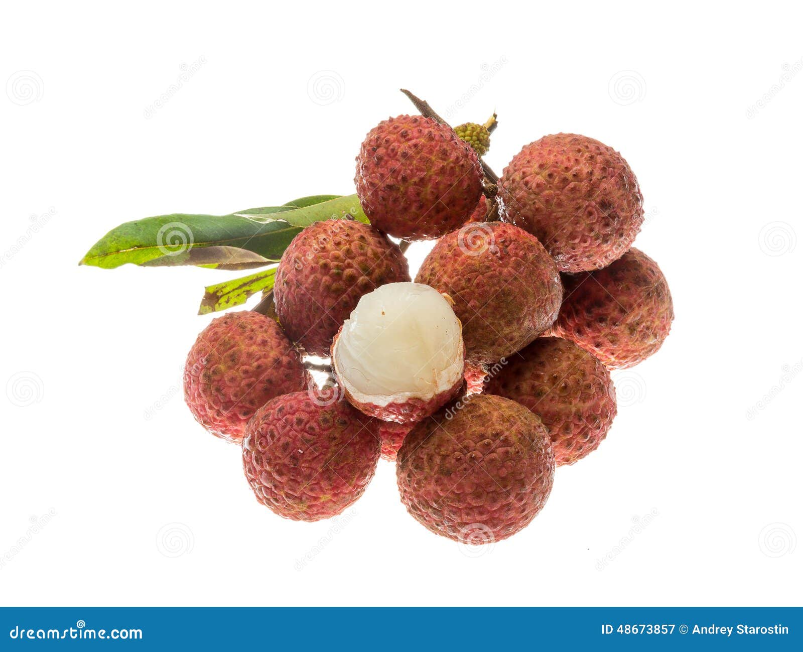 Asian fruit lychee stock image. Image of delicious, pulp - 48673857