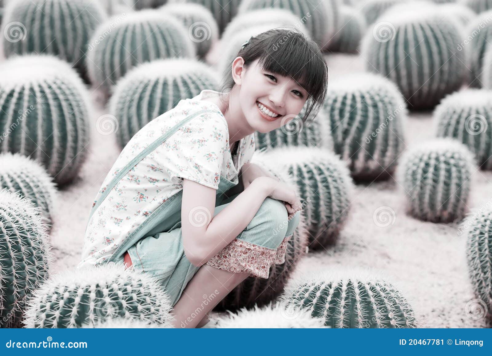 Asian girl in cactus field stock image. Image of hair - 20467781