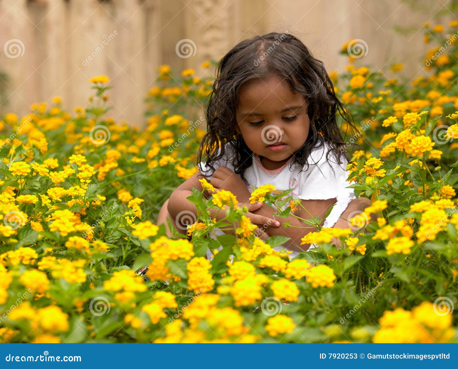 Asian Girl among Flowering Plants Stock Image - Image of garden, indian ...
