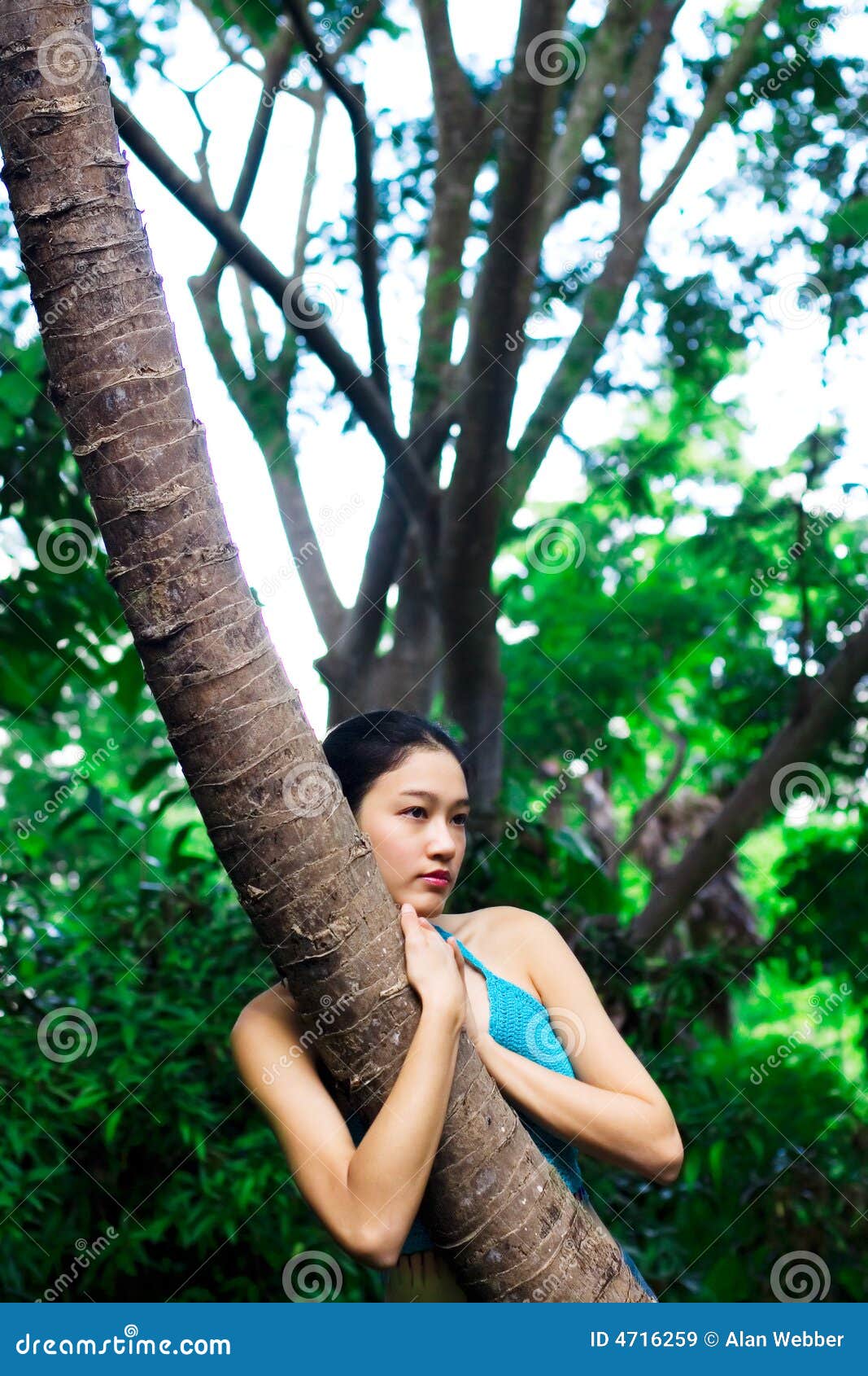 Asian girl hugging tree stock image. Image of green, attractive - 4716259