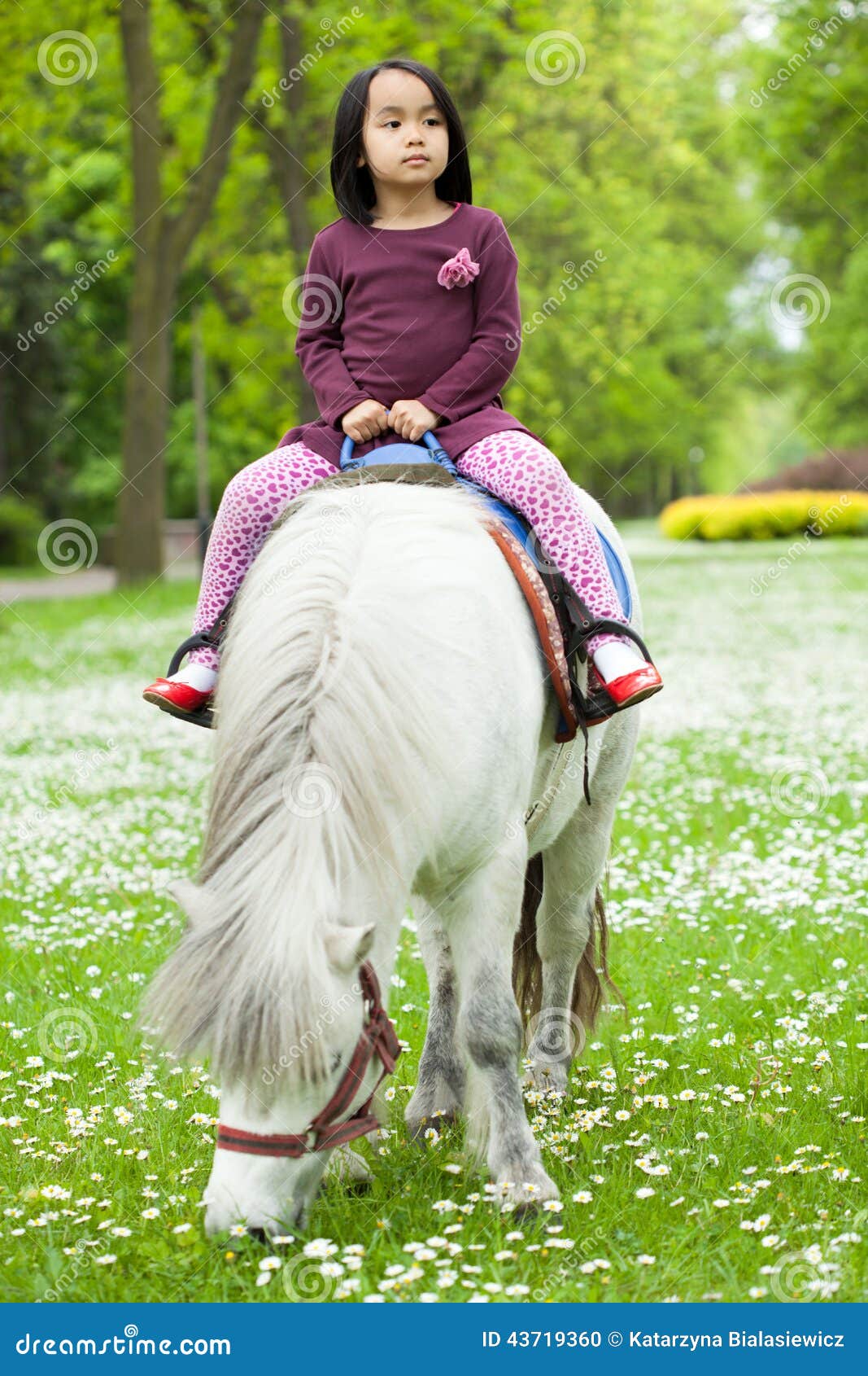 Asian girl sitting on pony stock photo. Image of children - 43719360