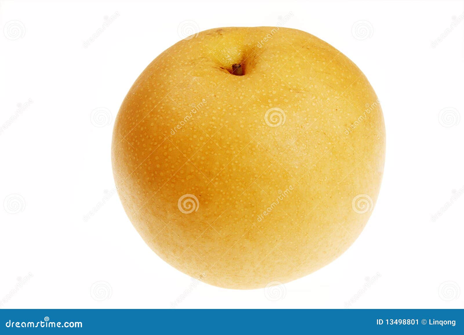 Asian golden pear stock image. Image of juicy, fitness - 13498801
