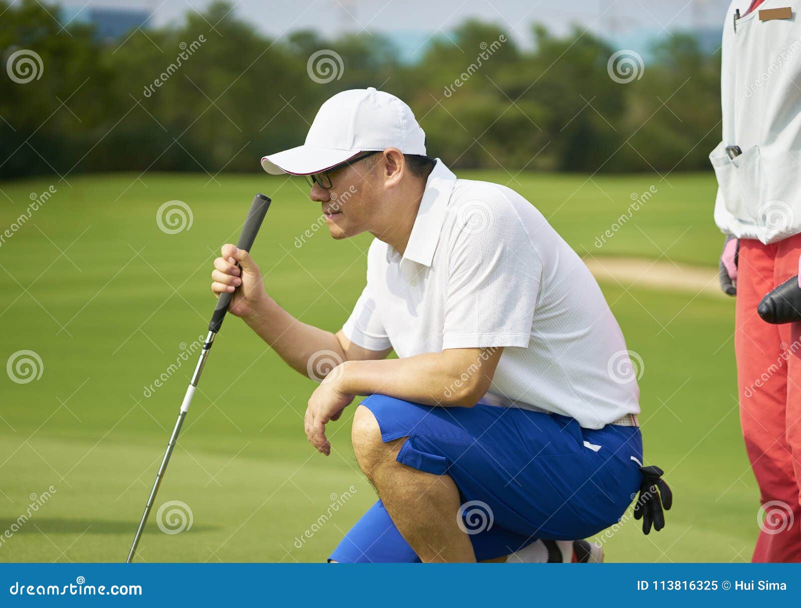 Asian Golfer Crouching in Golf Course Aiming and Preparing for Putting ...