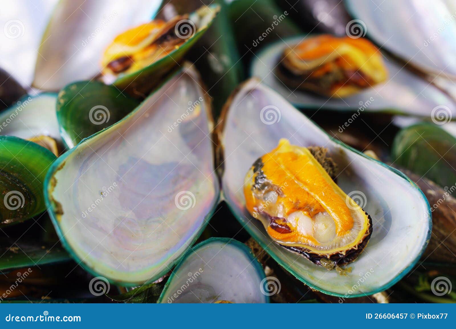 Asian green mussel stock image. Image of dinner, health - 26606457
