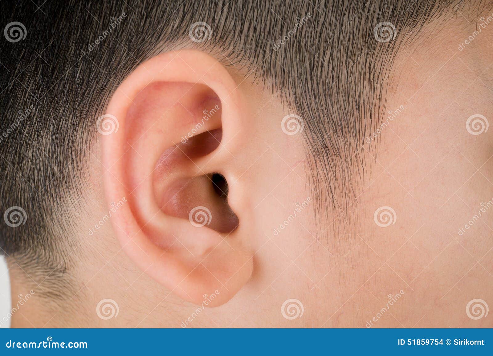Asian Human ear closeup stock photo. Image of anatomy - 51859754