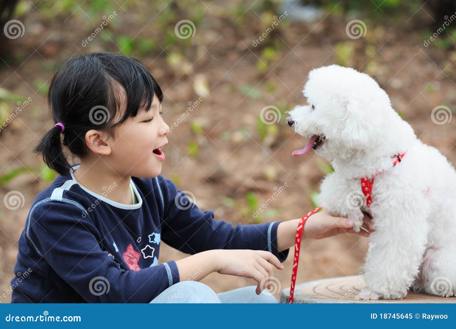Asian Kid Playing With Dog Royalty Free Stock Photo - Image: 18745645