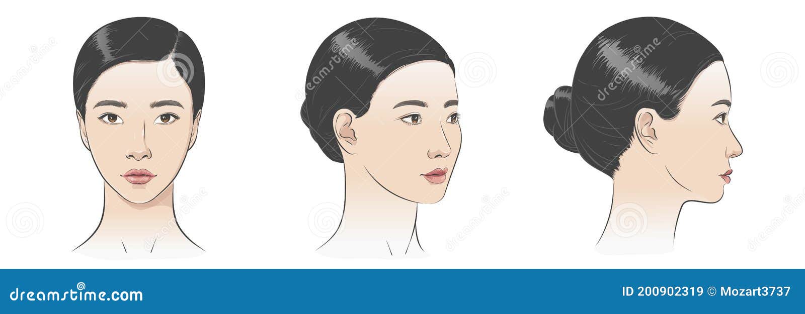 Asian Korean Women Portrait Three Dimension Angles Vector Illustration