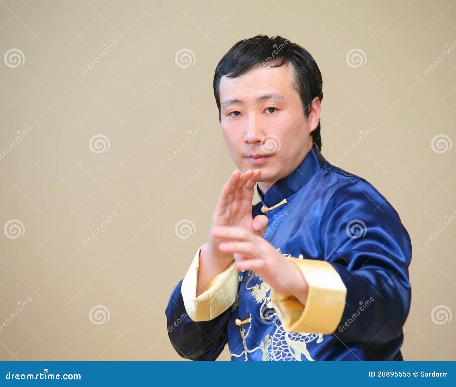 Asian kung-fu fighter stock image. Image of concept, body - 20895555