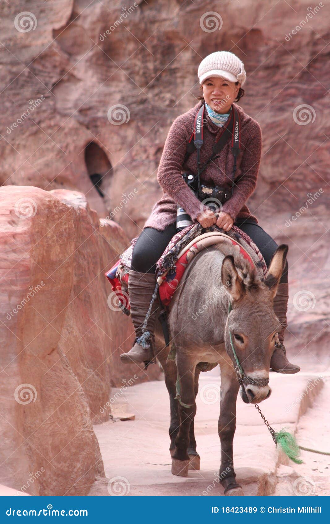 Asian Lady Riding Donkey in Petra Jordan Editorial Stock Image - Image ...
