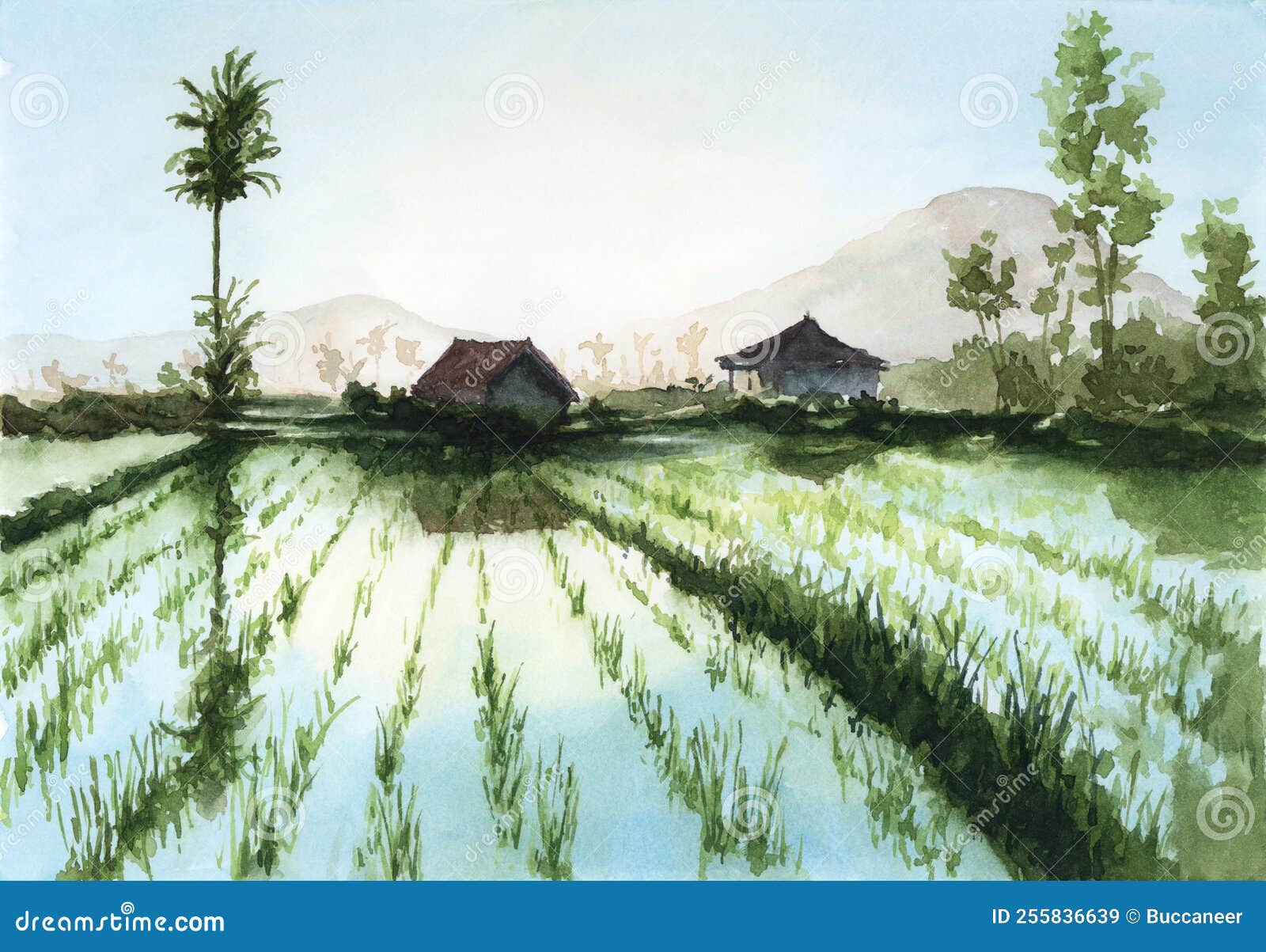 Asian Landscape with Rice Fields Stock Illustration - Illustration of ...