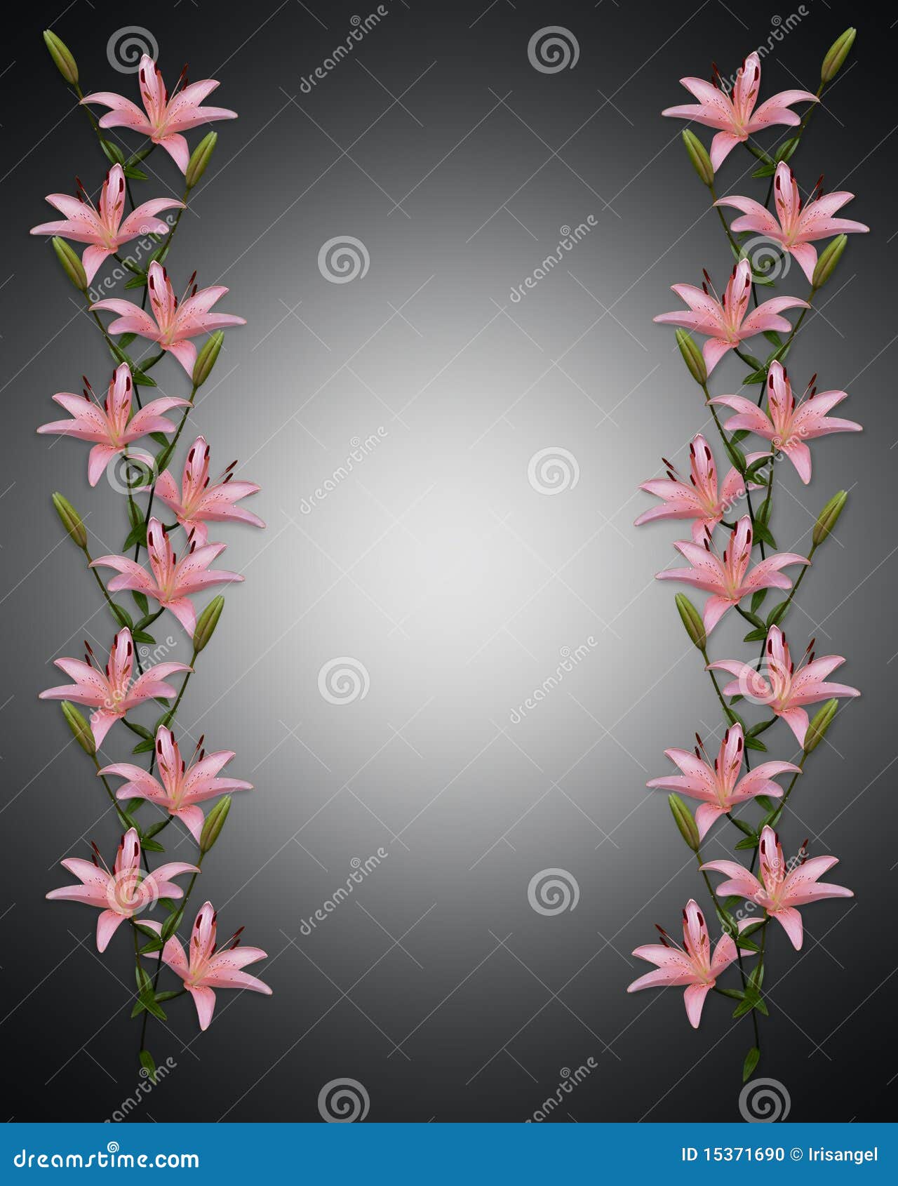 Asian lily flowers border stock illustration. Illustration of elegant ...