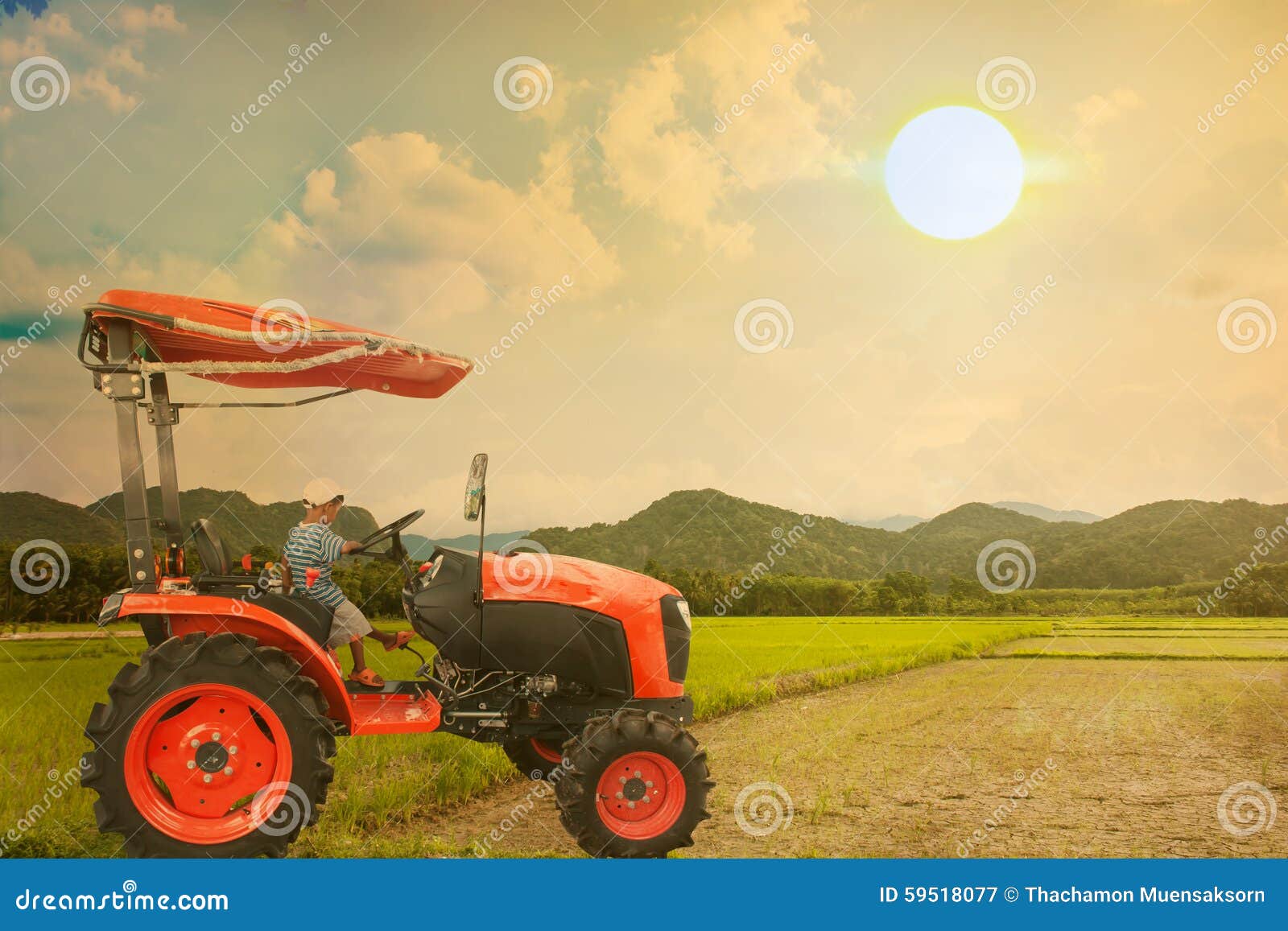Tractor In Rice Field, Mechanism Farmer Rice Cultivation Royalty-Free ...
