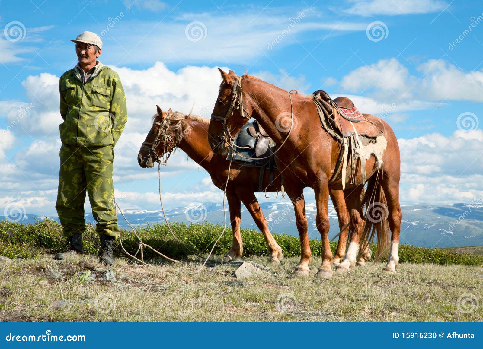 Asian Man Holding Two Horses Stock Photo - Image of blank, reins: 15916230