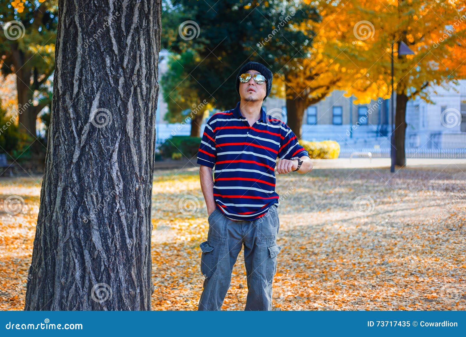Asian Man Stands Under a Yellow Ginkgo Tree in Autumn Stock Image ...