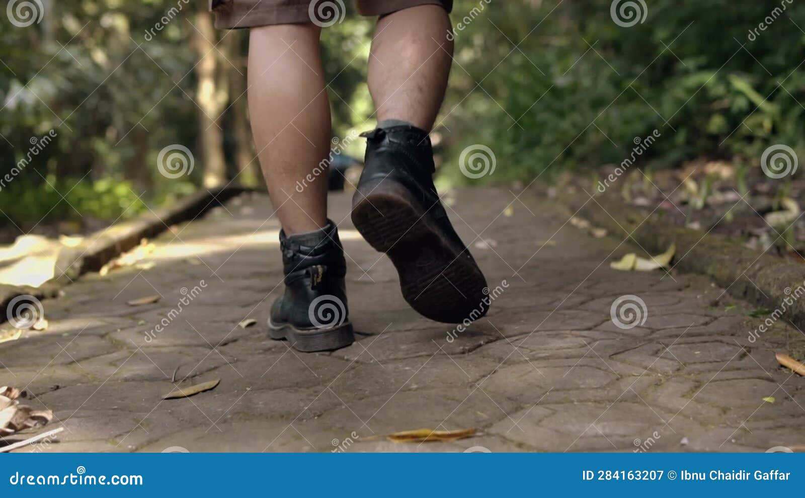 An Asian Man is Walking on a Path in a Forest Stock Video - Video of ...