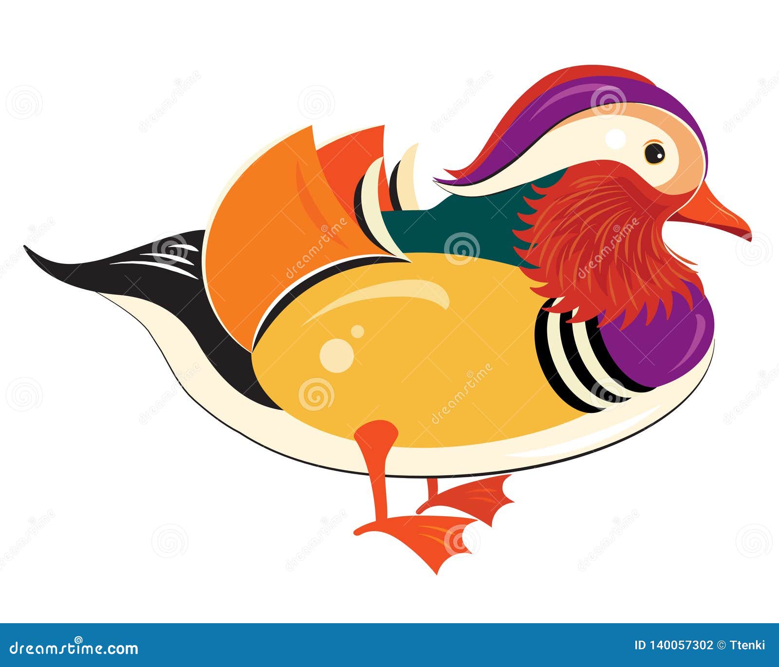 Asian Mandarin Duck, Isolated on White, Vector Stock Vector ... Asian Mandarin Duck, Isolated on White, Vector Stock Vector ...