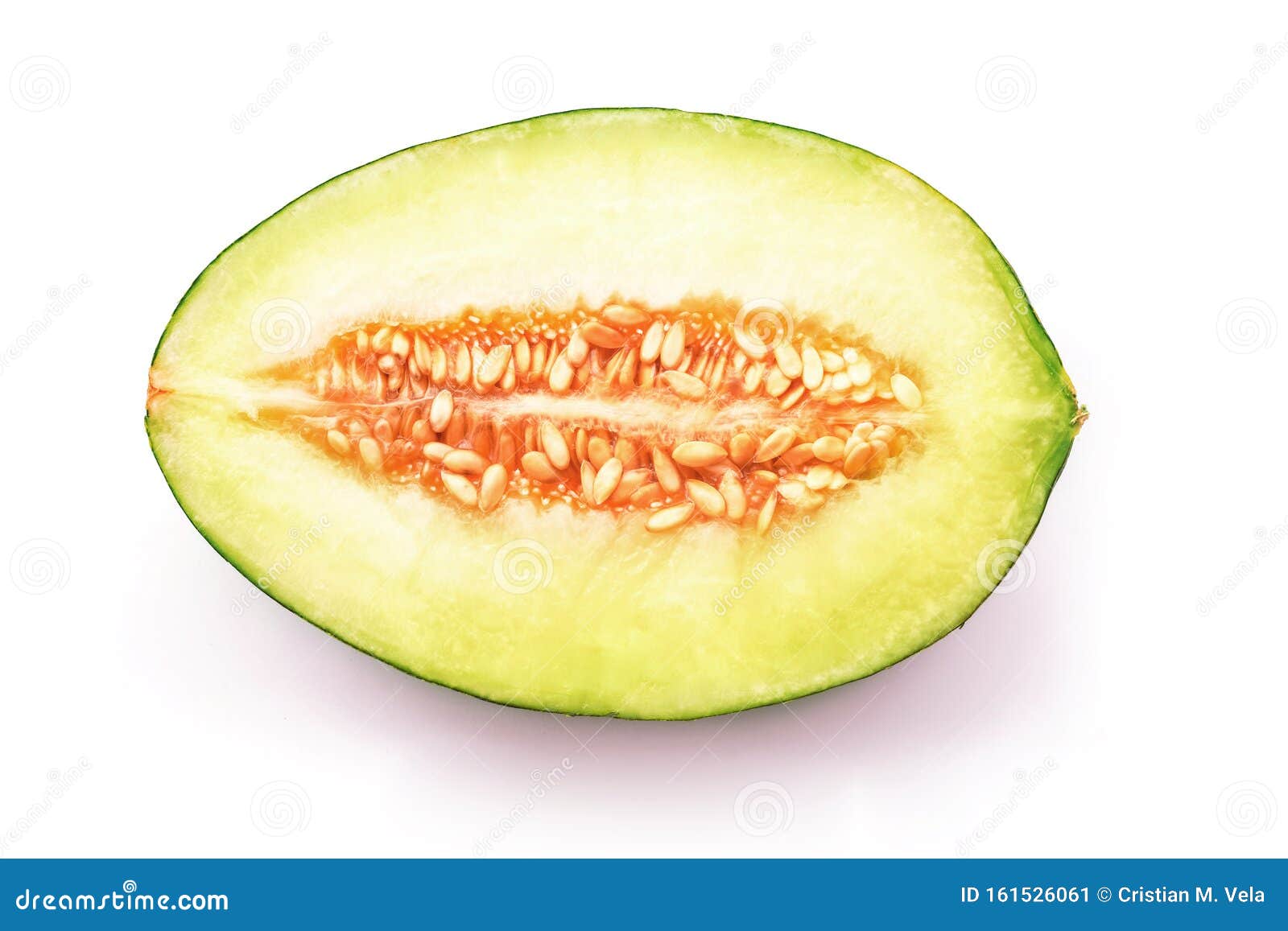 Melon Half Cross Section With Seeds Stock Photo | CartoonDealer.com ...
