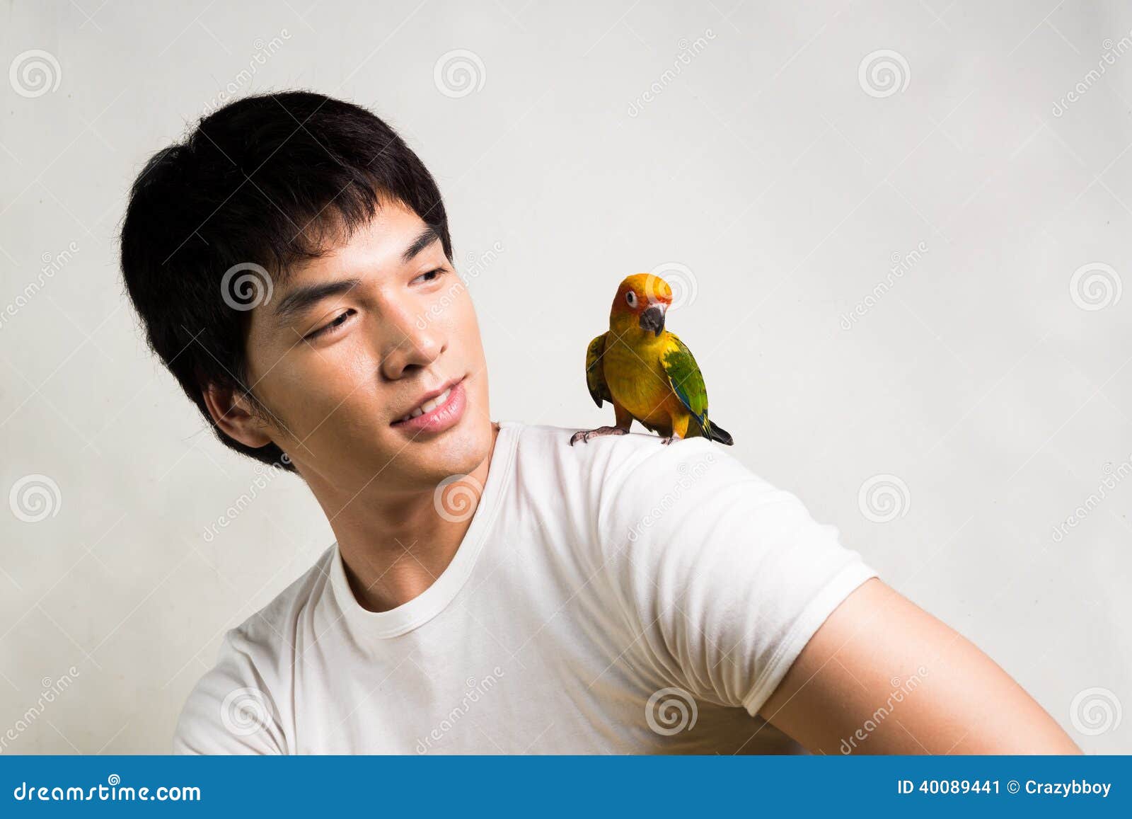 Asian Men with Parrot - Sun Conure Stock Image - Image of love, male ...