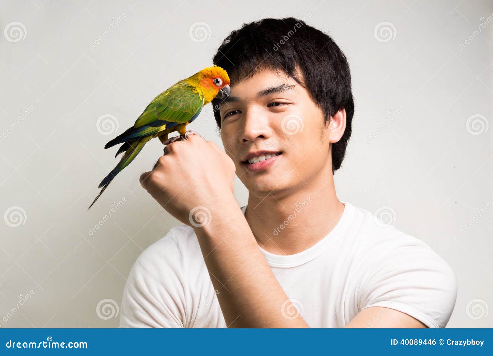 Asian Men with Parrot - Sun Conure Stock Photo - Image of happy, love ...