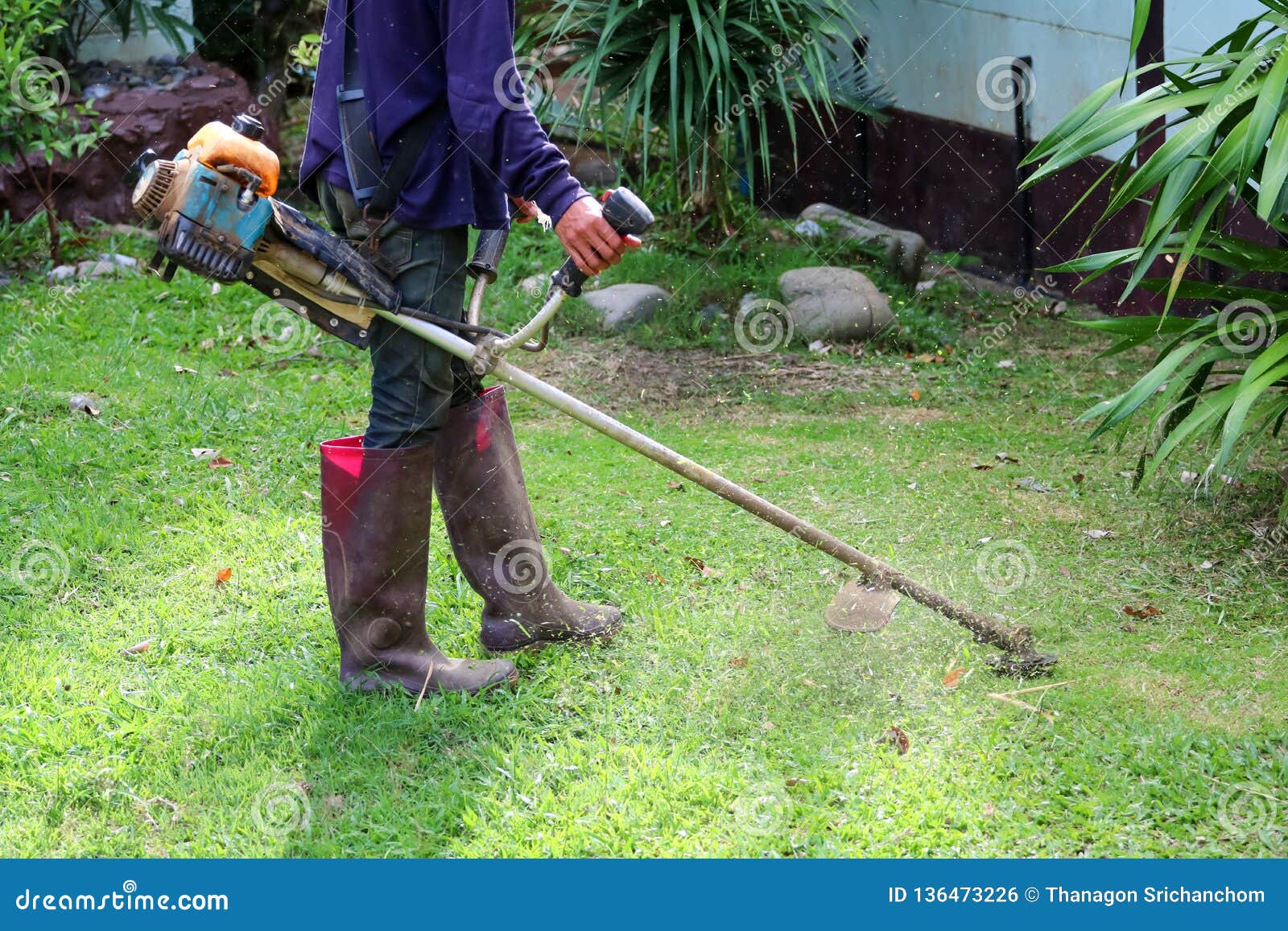 Asian Men Using a Lawn Mower in the Garden Stock Photo - Image of green ...