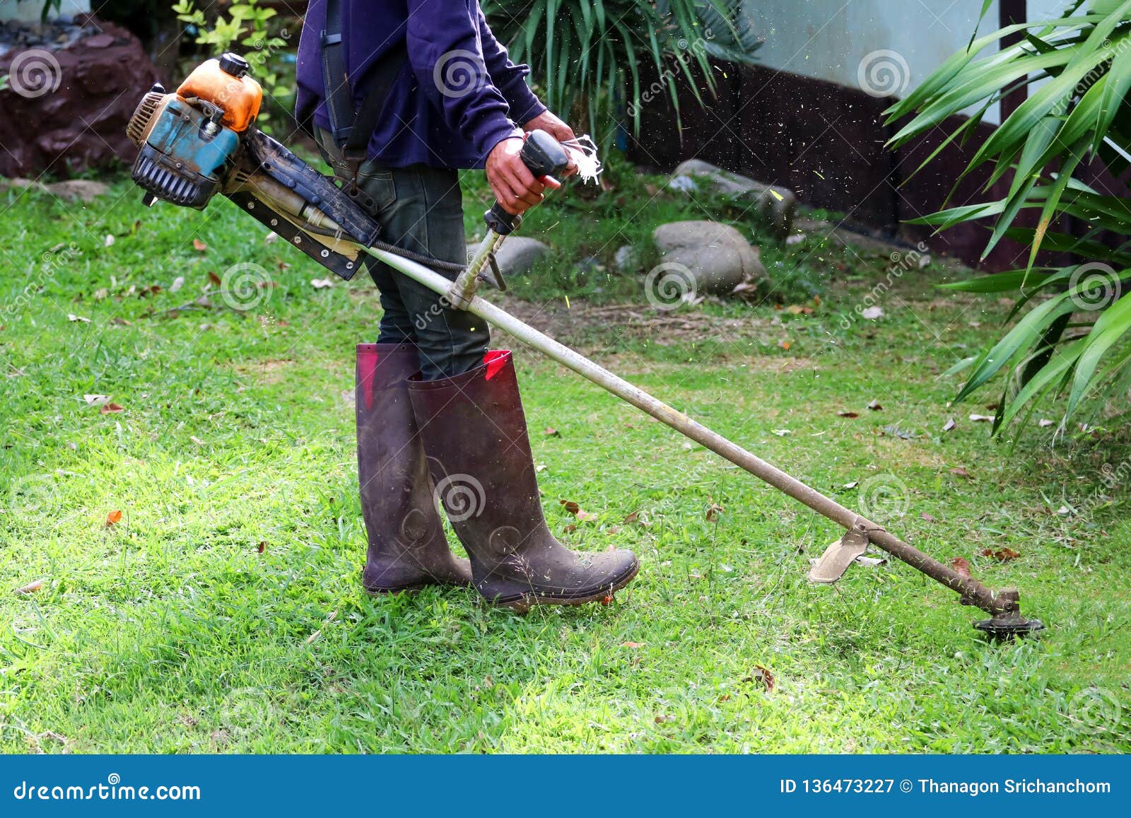 Asian Men Using a Lawn Mower in the Garden Stock Image - Image of asian ...
