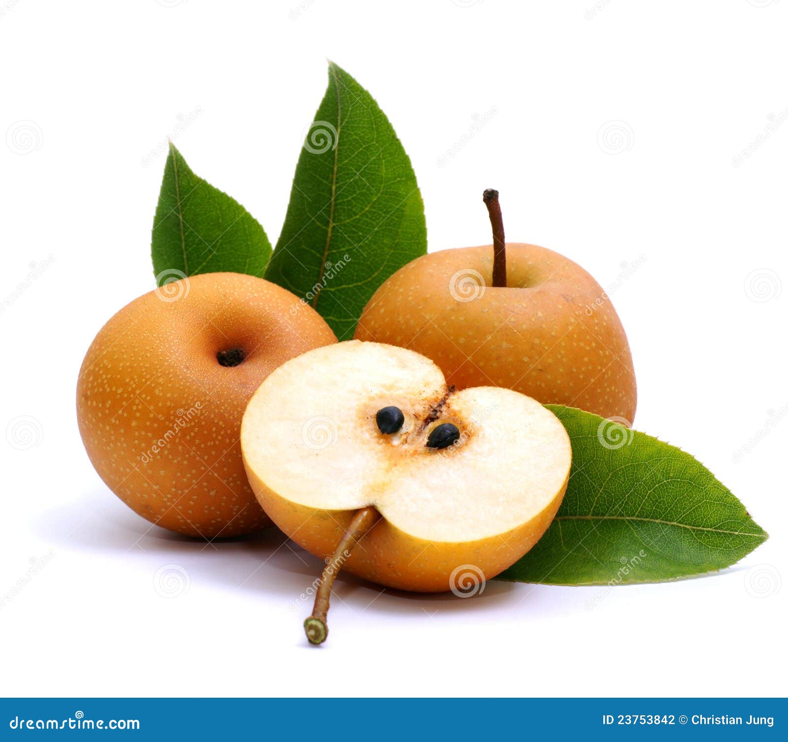 Asian nashi pears stock photo. Image of organic, asian - 23753842