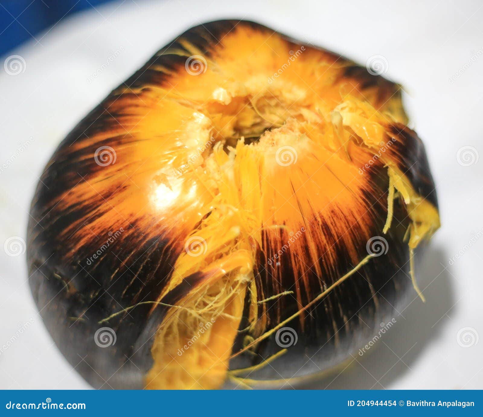 Palmyrah fruit stock photo. Image of borassus, clipping - 204944454