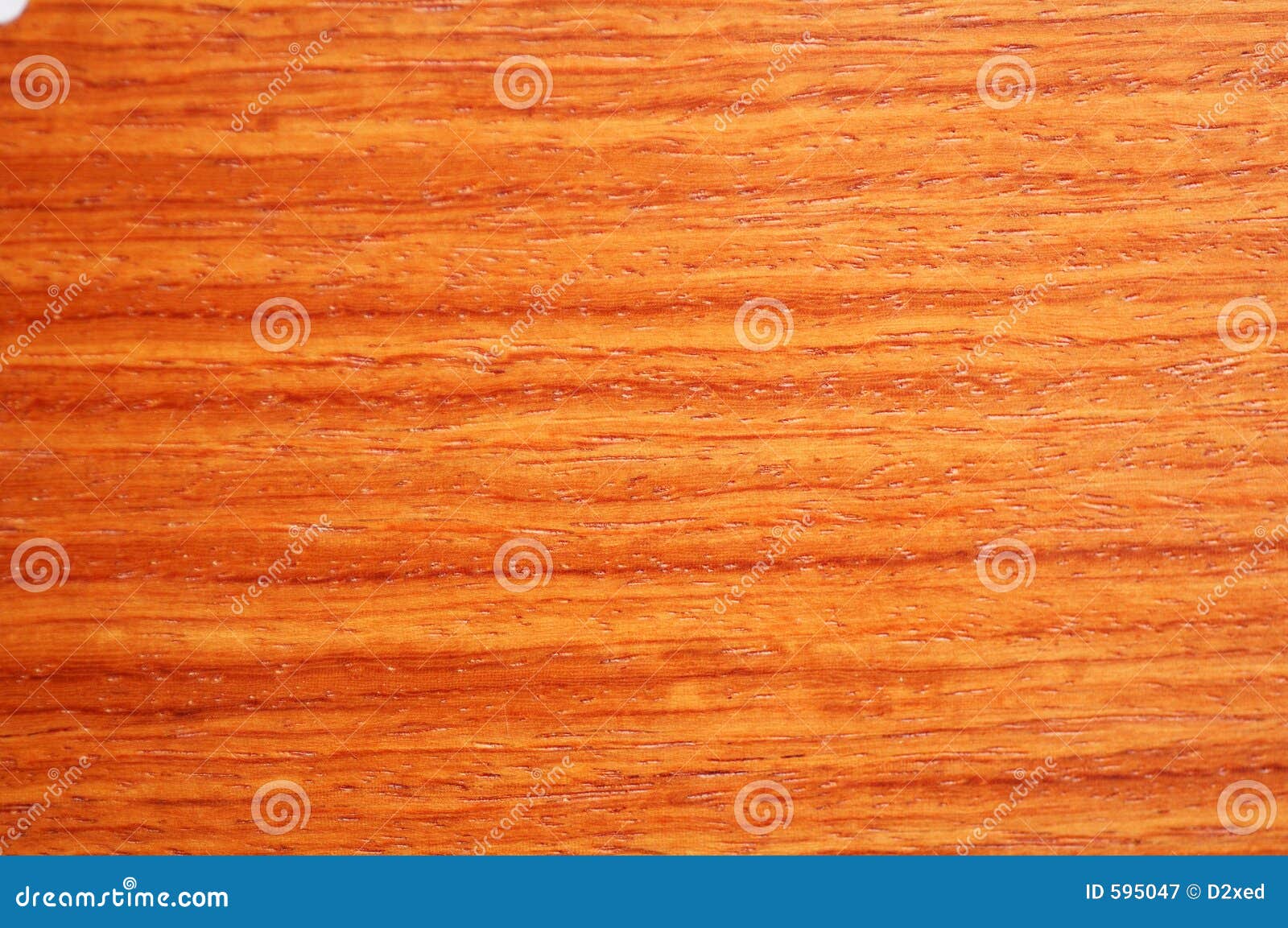 Asian padauk wood stock image. Image of background, asian - 595047