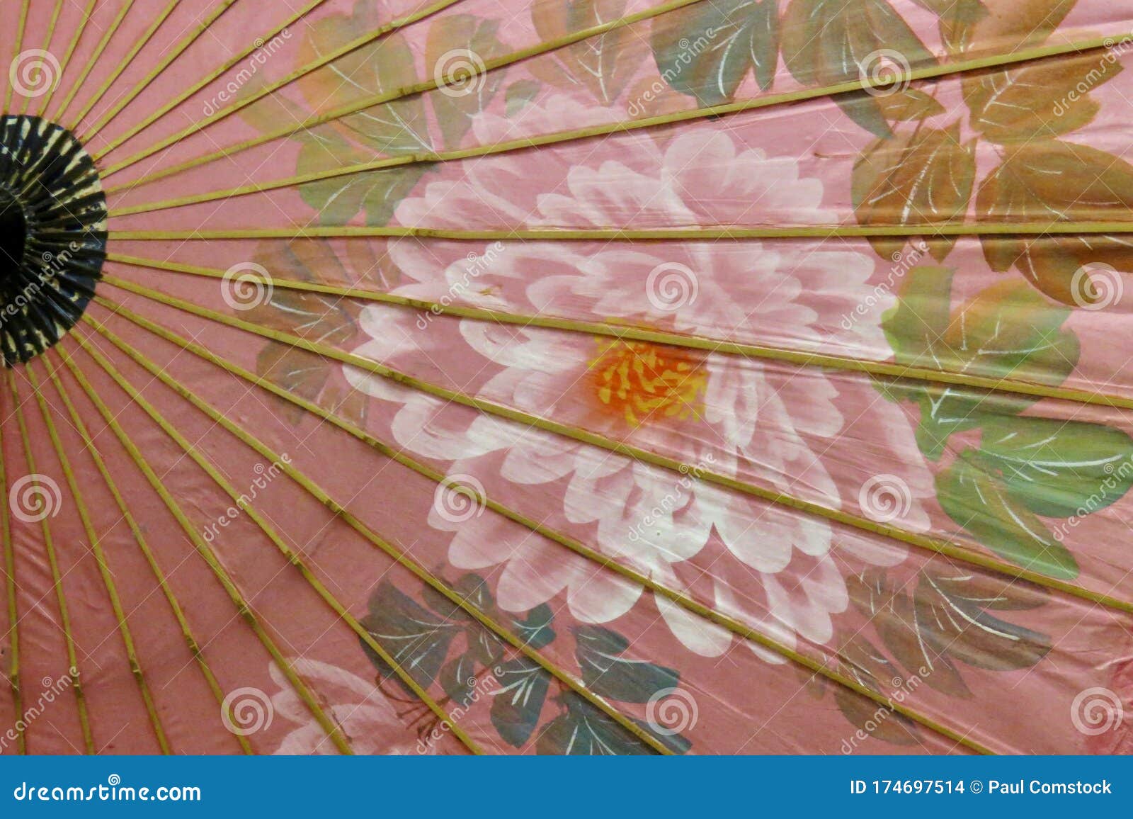 Asian Man Paper Cutting With Scissors For Crafts Paper And Create A ...