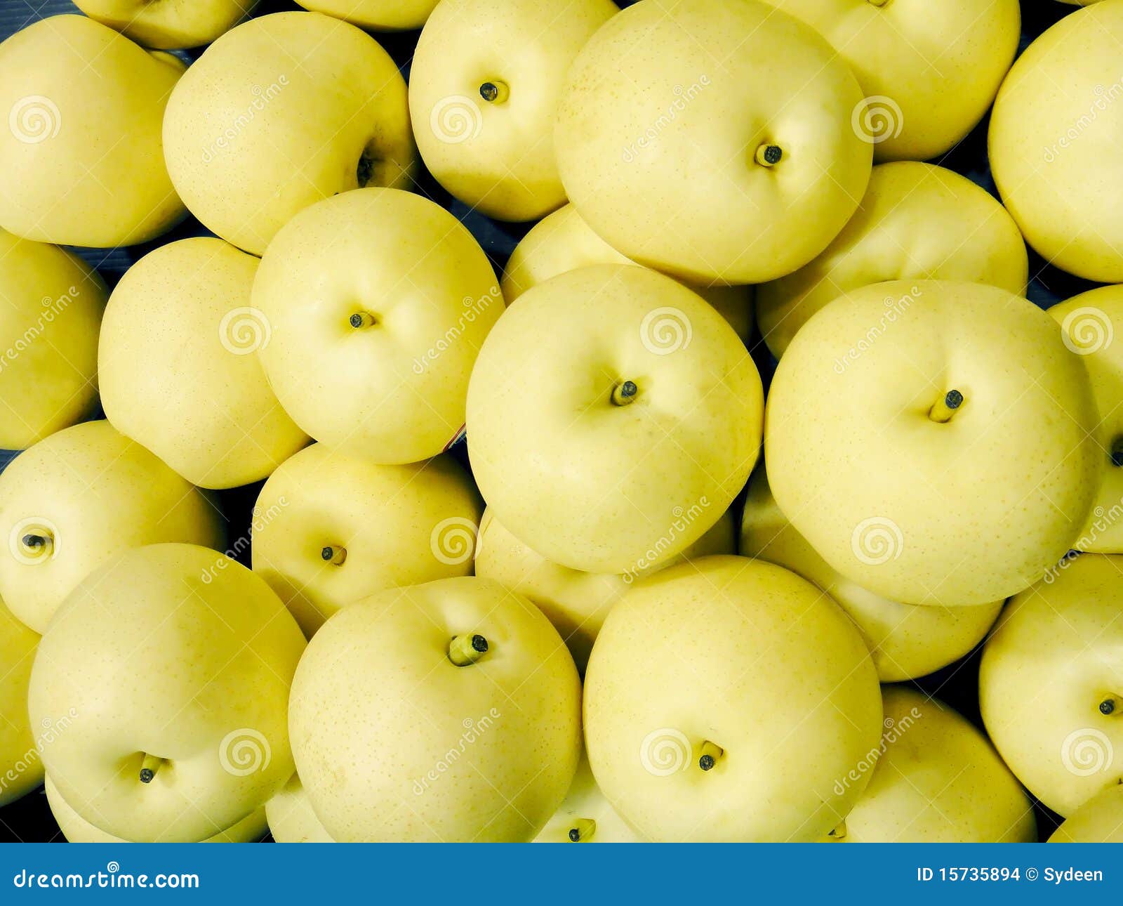 Asian pear stock photo. Image of pears, korean, tropical - 15735894