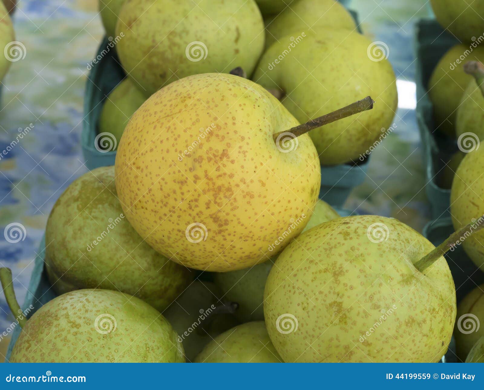 Asian Pears stock image. Image of boxes, pears, harvested - 44199559