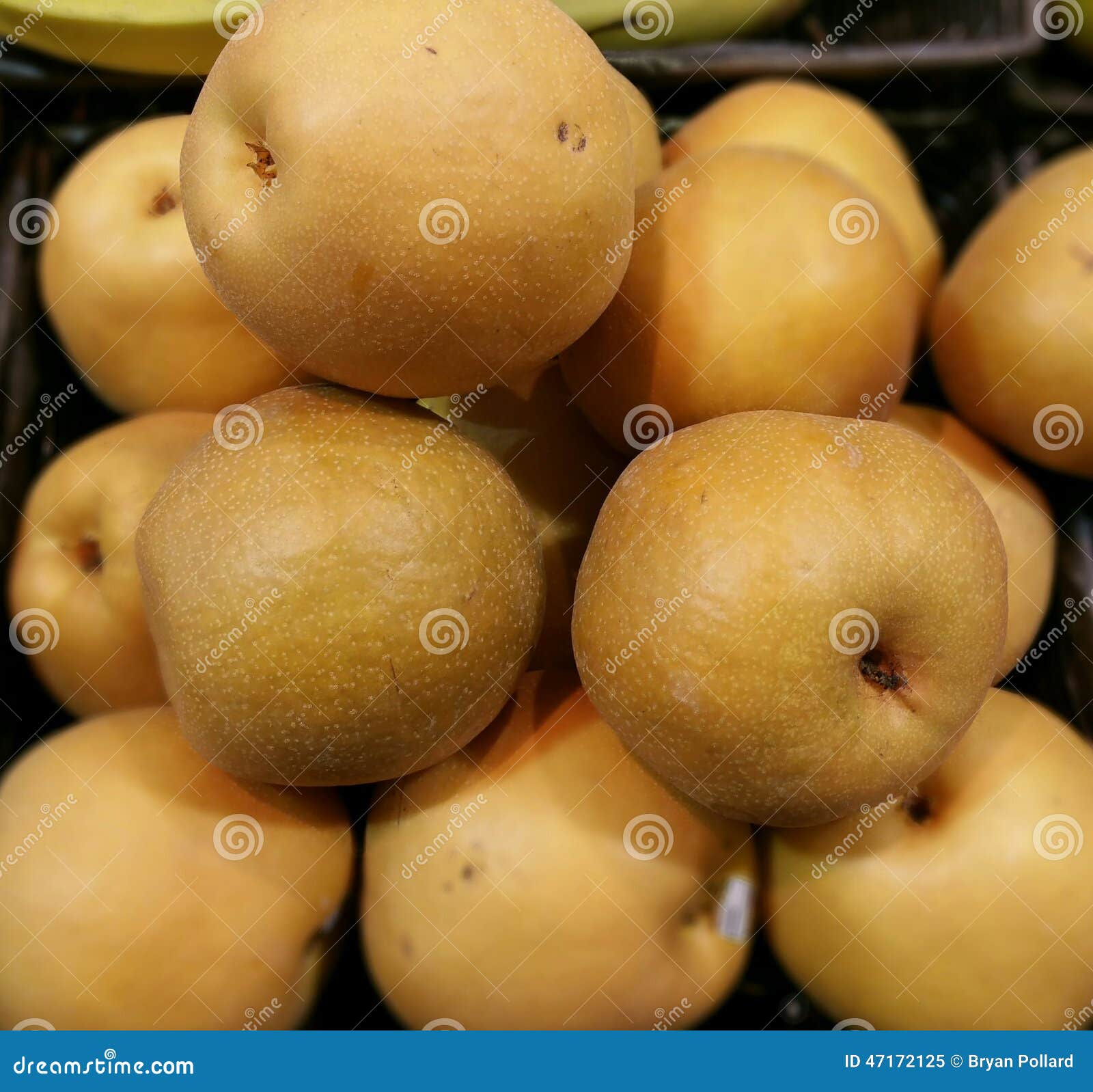 Asian Pears stock image. Image of stand, nutrients, nutrition - 47172125