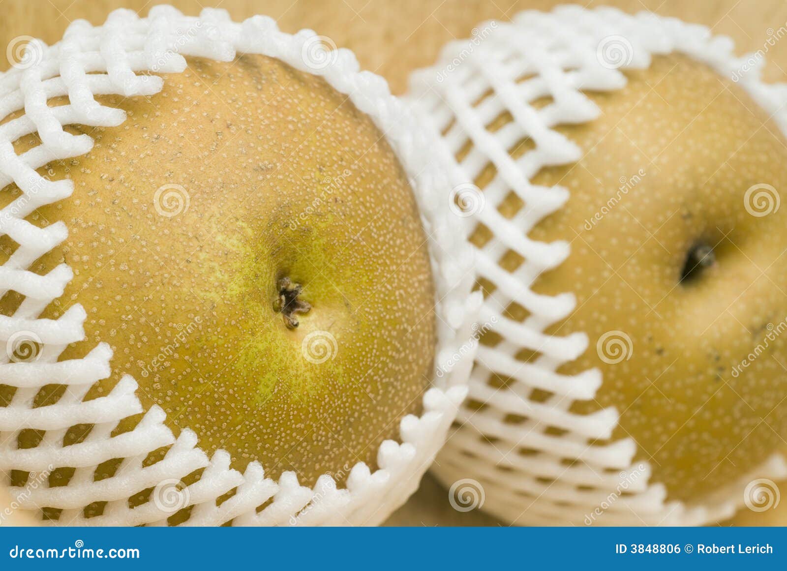 Asian Pears in Shipping Net Stock Photo - Image of nashipati, firm: 3848806