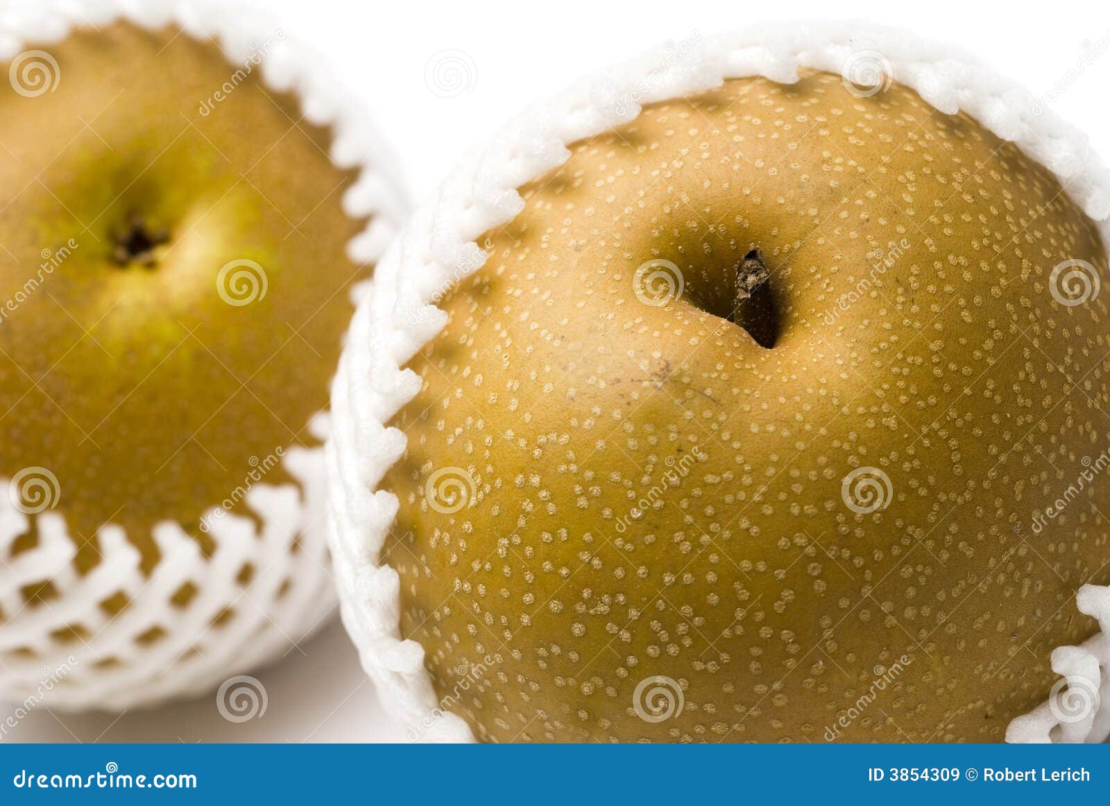 Asian Pears in Shipping Net Stock Image - Image of pyrifolia, cushion ...