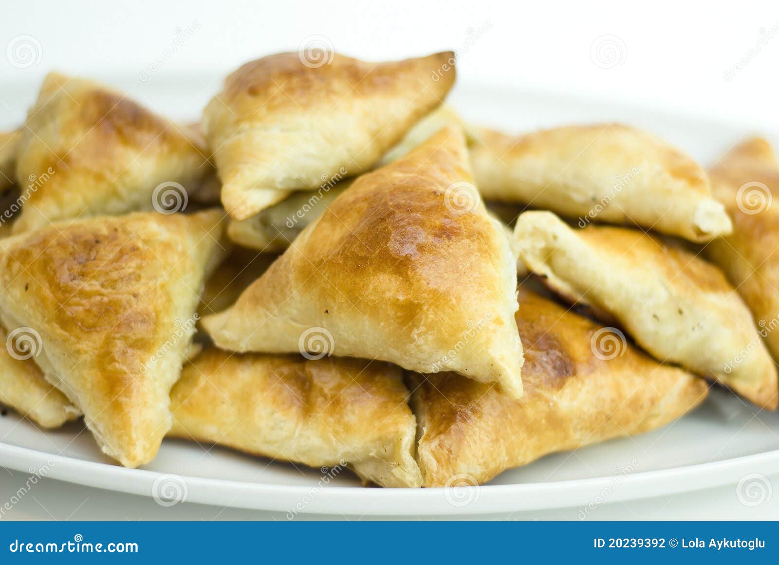 Asian pies with meat stock photo. Image of dishware, nutrition - 20239392