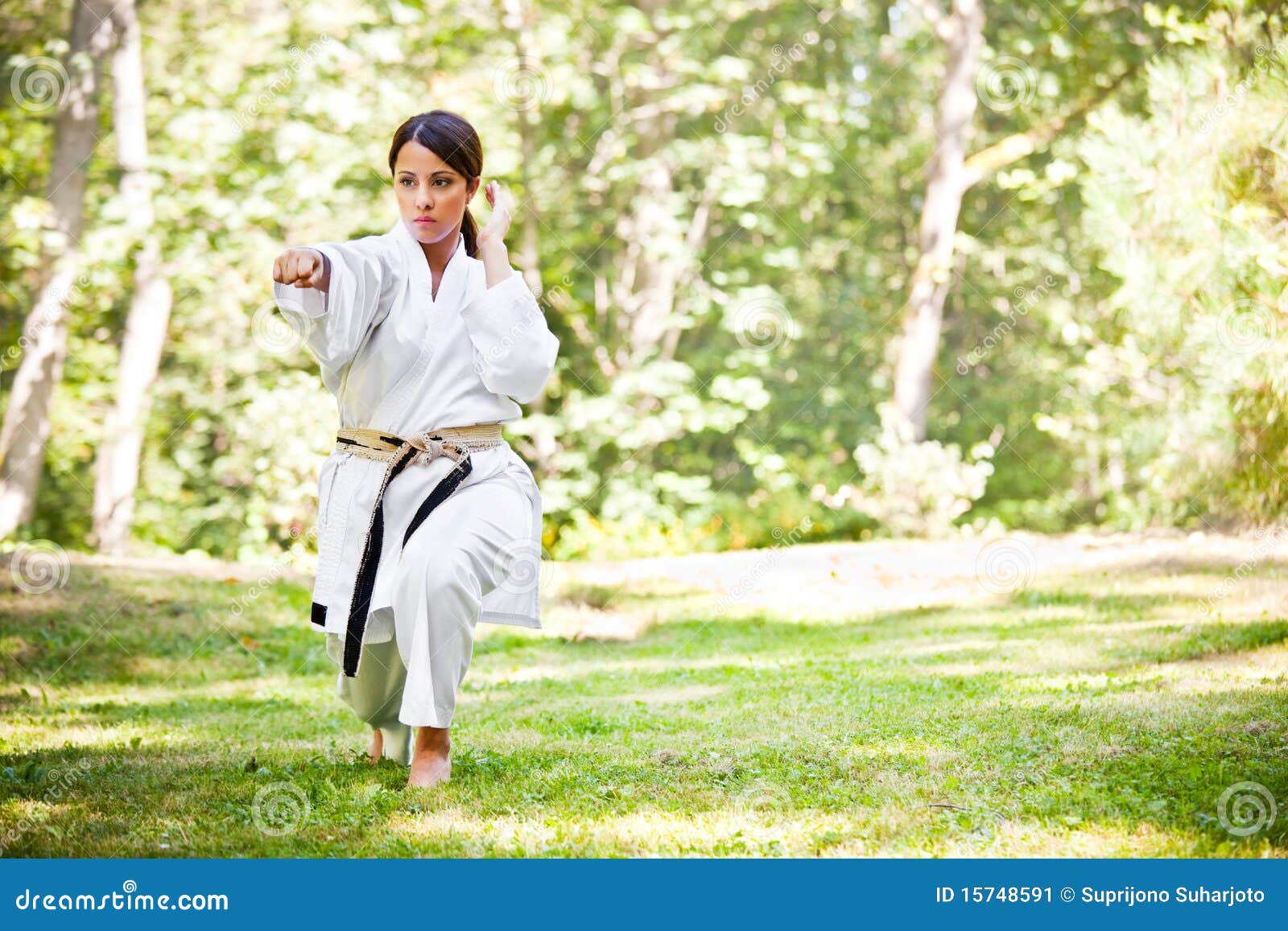 Asian practicing karate stock image. Image of practice - 15748591